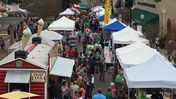 Events - Wild Chicken Festival
